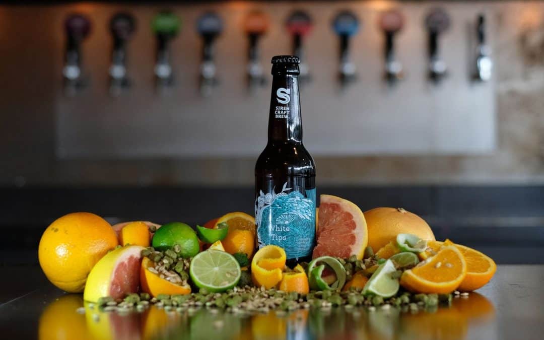 Siren Beers Craft Brew Review - Read it at GreatDrams